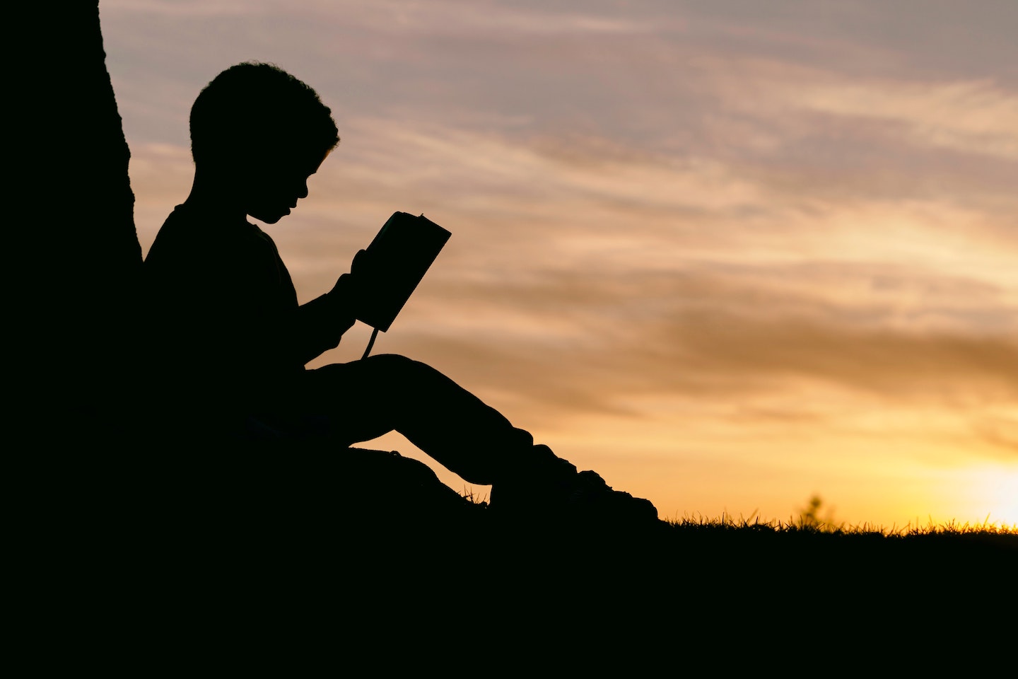 Siloed Capability Development Cancels Out Transformation Advantage ...